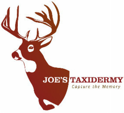 Joe's Taxidermy - EUROPEAN MOUNTS
